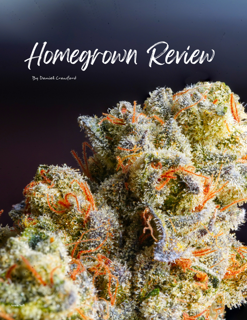 A Home Grow Review on Behalf of Treehouse Labs and Nick Barten