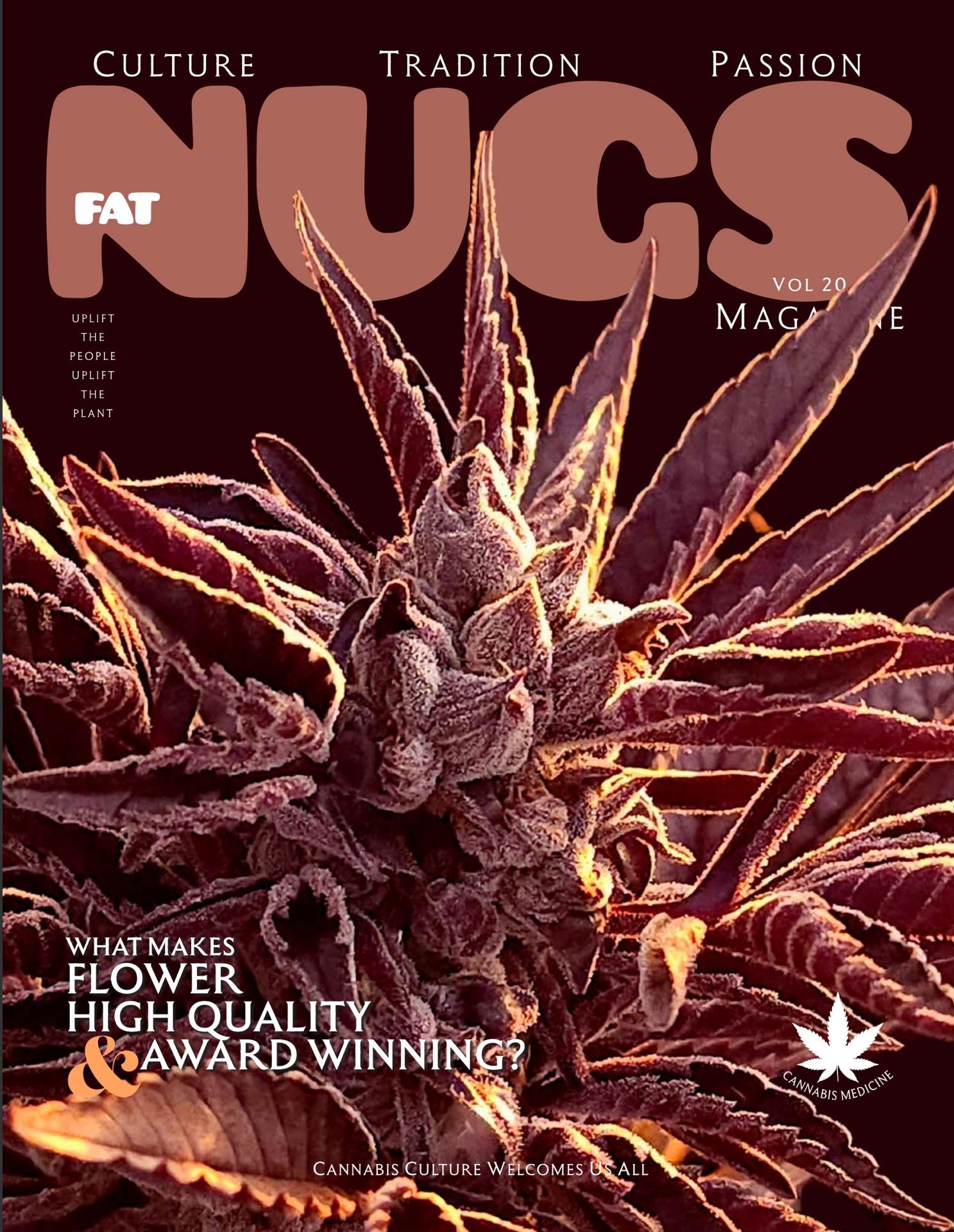 Volume 20 • Fat Nugs Magazine